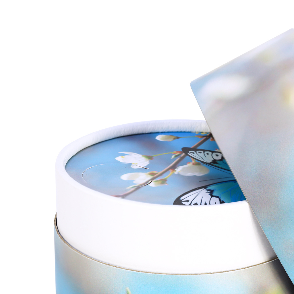 Butterfly Scattering Tube – Eternal Urns Australia